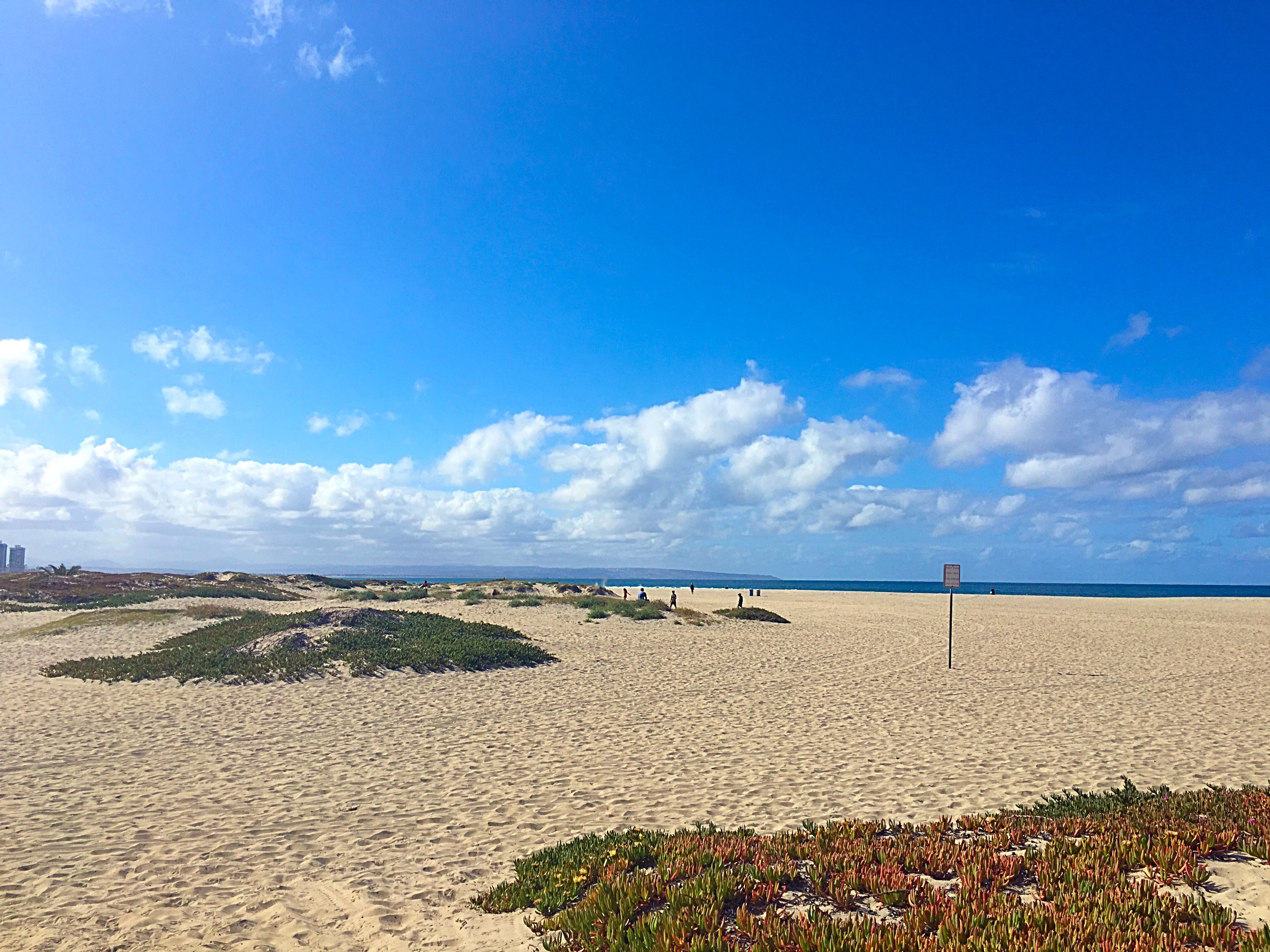 Ashley Horner – Camp Valor – The Swag Mama