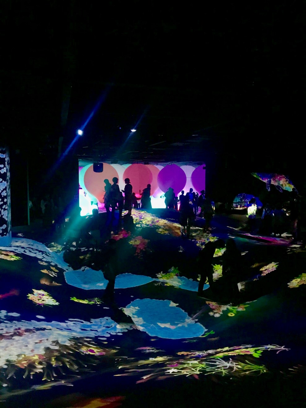 8 Things to Know Before Visiting the teamLab Borderless Digital Art ...