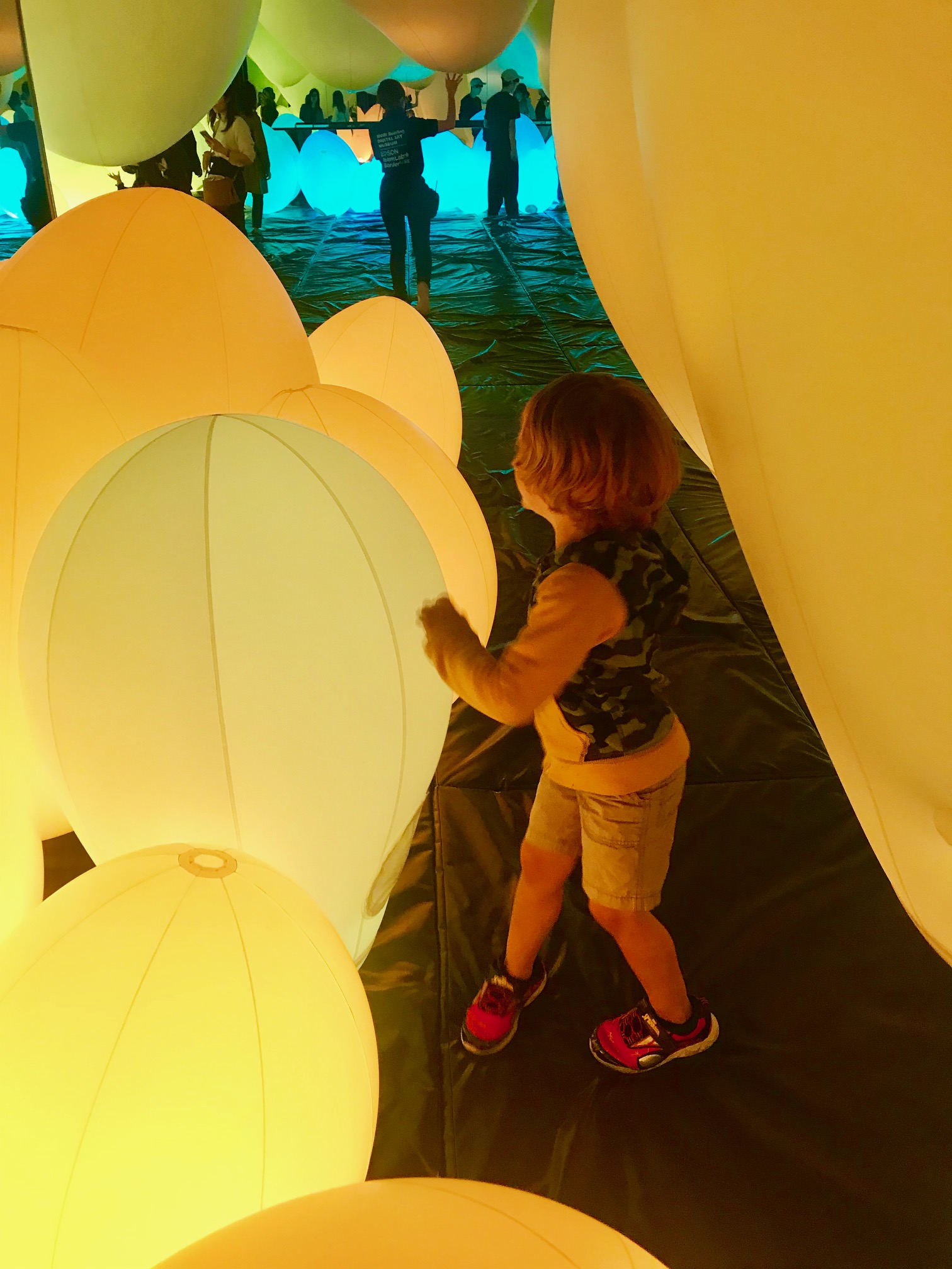 8 Things to Know Before Visiting the teamLab Borderless Digital Art ...