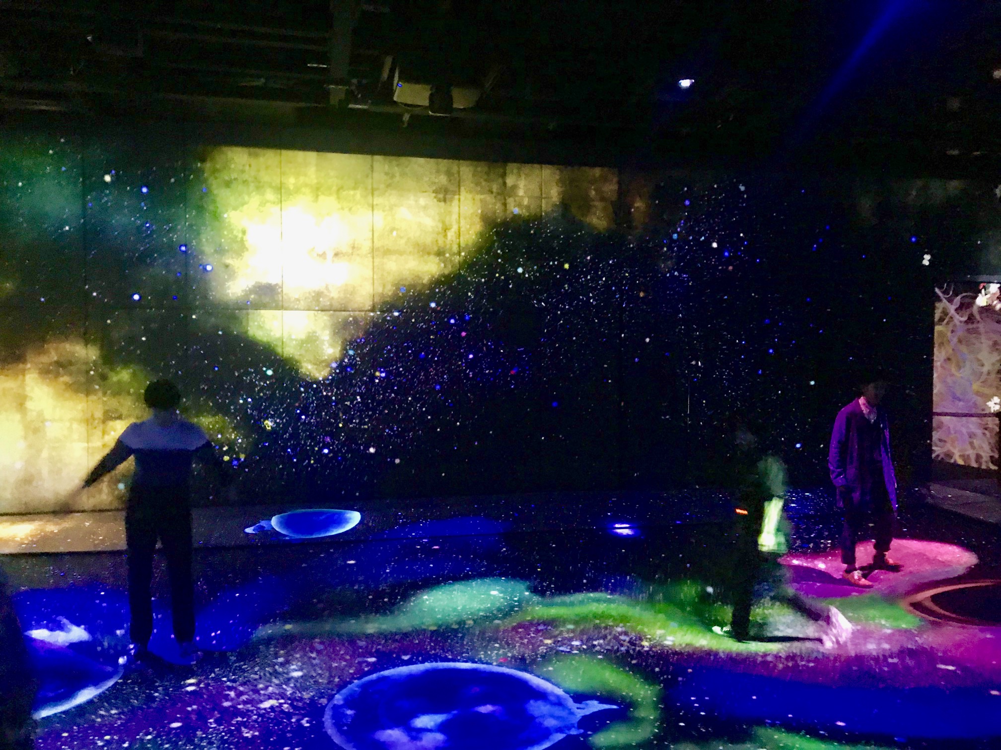 8 Things to Know Before Visiting the teamLab Borderless Digital Art ...