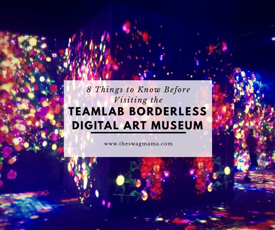 8 Things to Know Before Visiting the teamLab Borderless Digital Art ...